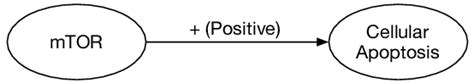 Example Of A Graph Edge Encoding The Relation Extracted From The Text