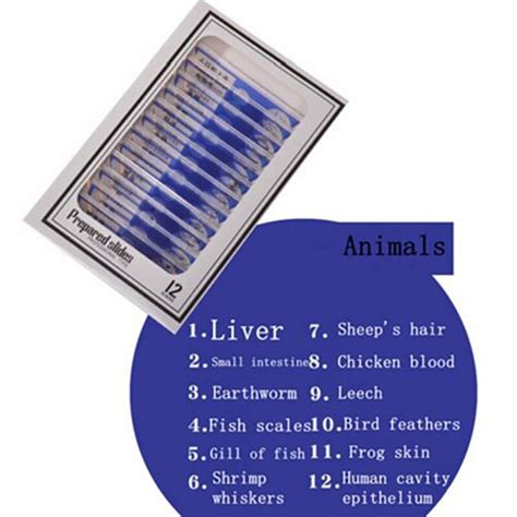 48pcs Prepared Plastic Microscope Slides Biologica Grandado