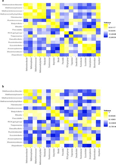 Heatmap Shows The Correlation Between Bacterial And Archaeal Genera In