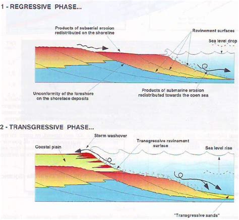 Sequence Stratigraphy Hamed Geo