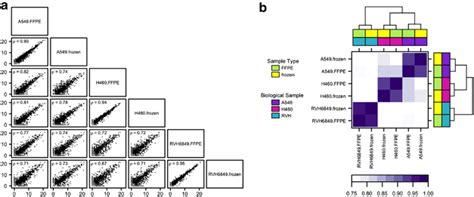 Microrna Mirna Sequencing Of Formalin Fixed Paraffin Embedded Tissue Download Scientific