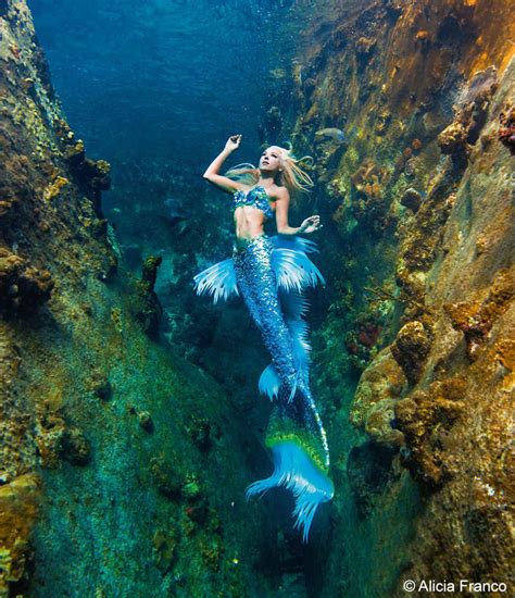 An Incredible Compilation Of Authentic Mermaid Photos Over 999 Real