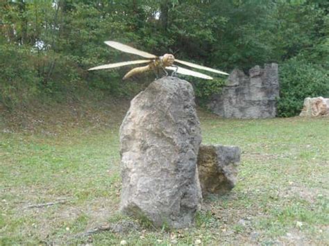 Meet Meganeura The Prehistoric Mega Dragonfly