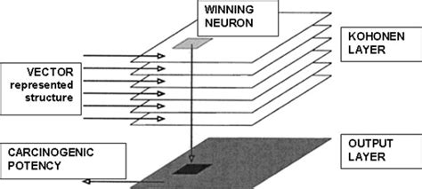 Counter Propagation Neural Network Architecture Download Scientific