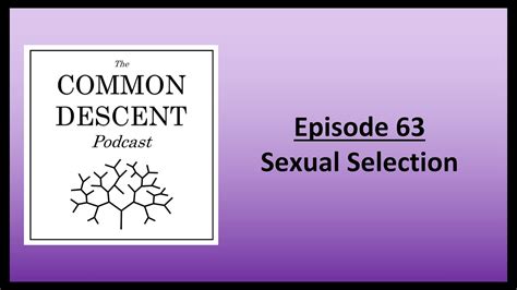 Episode 63 Sexual Selection YouTube