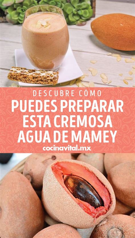 Descubre Cómo Puedes Preparar Esta Cremosa Agua De Mamey Food Videos