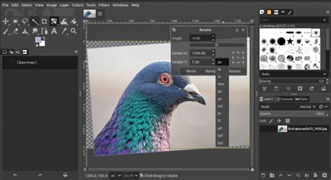 How To Rotate And Transform An Image In Gimp Complete Guide Edits 101