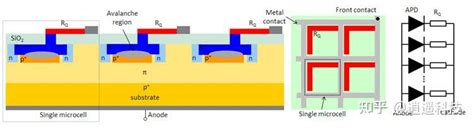 硅光电倍增管（sipm）工作原理及性能特征 知乎