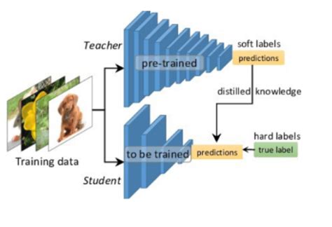 【学习总结 论文复现】知识蒸馏knowledge Distillation学习一条龙（完结） 知乎