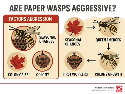 Are Paper Wasps Aggressive 7 Shocking Facts For 2025