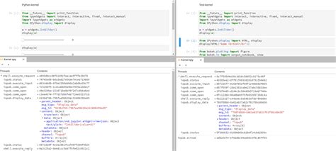 Enable Rich Outputs And Widgets For Wrapper Kernel Issue 374