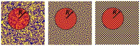 “self Organized Disordered Vegetation Patterns With Hidden Order In Arid Ecosystems” Is