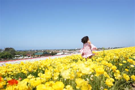 Bohemian Spring Inspire My Fancy