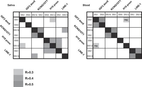 Intra Individual Correlation Of Single Cpg Methylation Levels Within