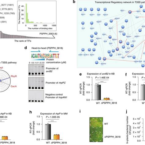 Network Representation Of The Similarity Of The Pwms From The Ht Selex Download Scientific