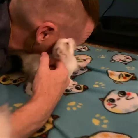 A R Heckthisiswholesome