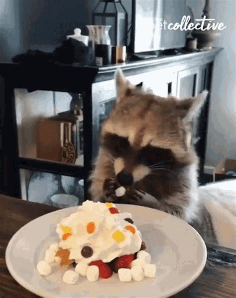 Eating Sweets  Eating Sweets Fruits Discover And Share S
