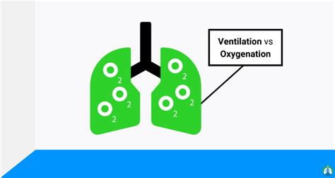 Ventilation Vs Oxygenation Vs Respiration What Is The Difference