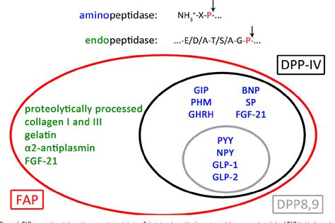 Figure 1 From Targeting Fibroblast Activation Protein In Cancer