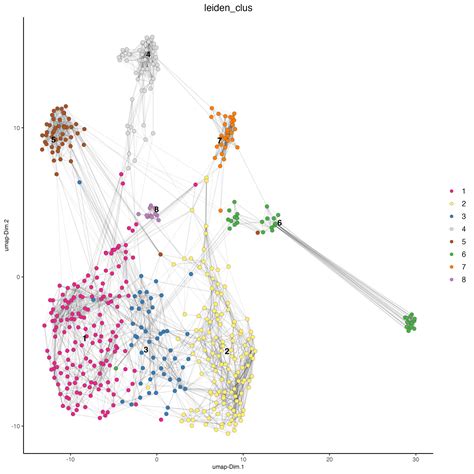 Seqfish Mouse Cortex Example • Giotto