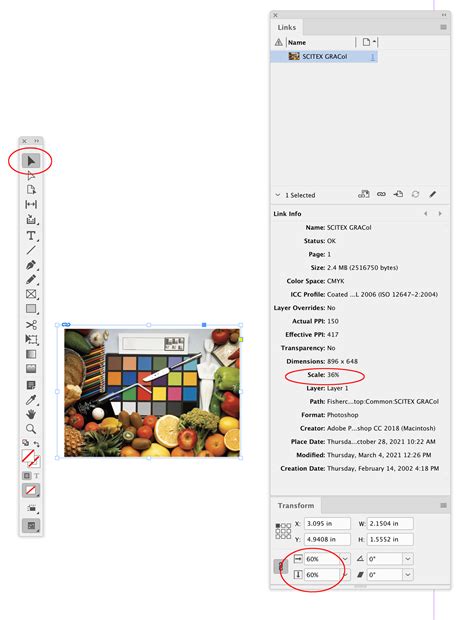 Solved Scaling Numerically Placed Content Adobe Product Community 12477747