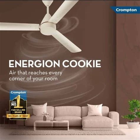 1200 Mm Crompton Energion Bldc Cookies Fan New At Best Price In Coimbatore Id 2853530911448