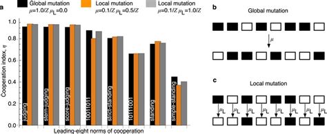 Global Versus Local Mutation Schemes B We Consider A Mutation Scheme Download Scientific