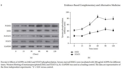 Jak2 Antibody Affinity Biosciences