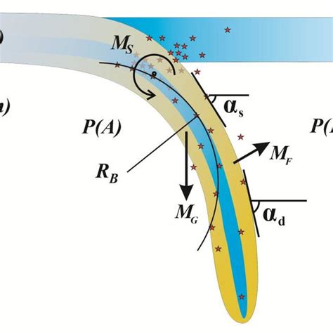 A Schematic Presentation Of The Torque Balance Treatment Used To