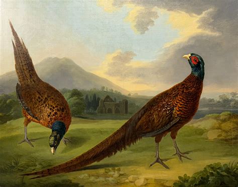 Stephen Elmer Two Pheasants In A Landscape For Sale At 1stdibs