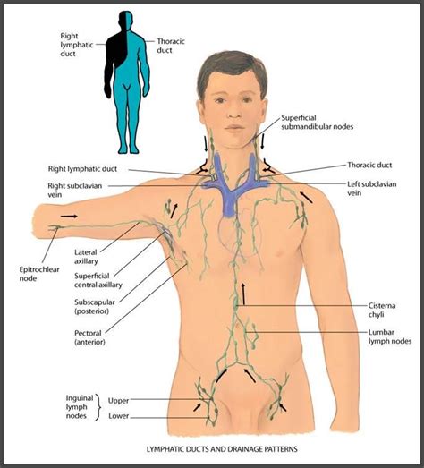 Enlarged Right Epitrochlear Lymph Node