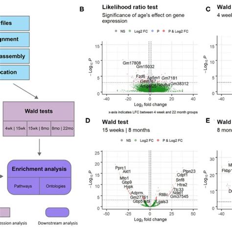 overview of entire rna seq data analysis workflow and volcano plots