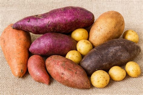 El Camote Peruano Ipomoea Batatas Beneficios Y Propiedades