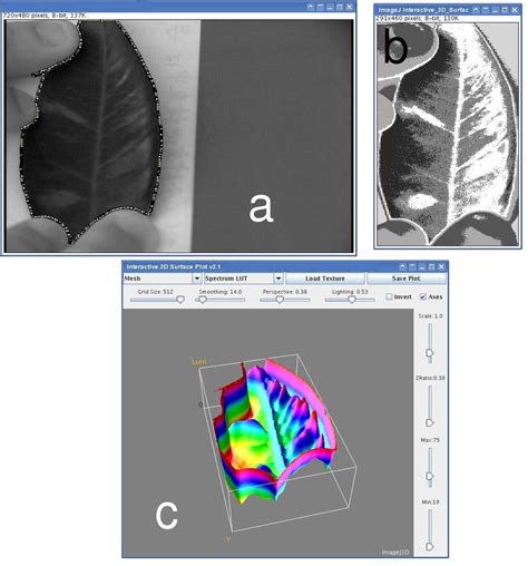 Reflectance Variation In A Leaf Image Due To Partially Specular Leaf
