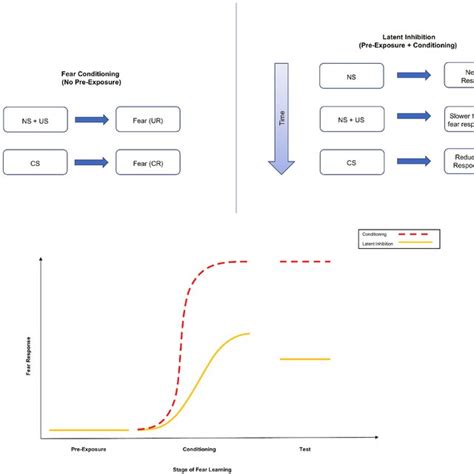 Fear Extinction Versus Latent Inhibition This Figure Compares The Time