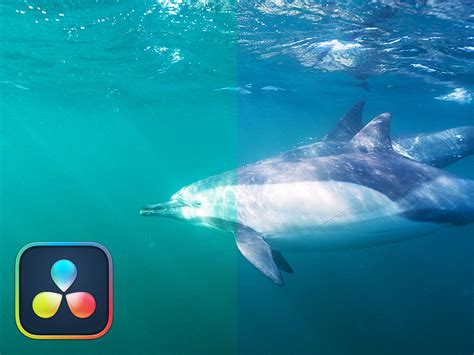 Color Grading Adding Warmth To An Underwater Video Video