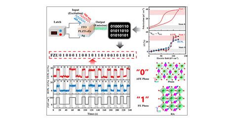 Phase Stability And Dual Mode Photoluminescence Modulation In Er Doped Lead Zirconate Titanate