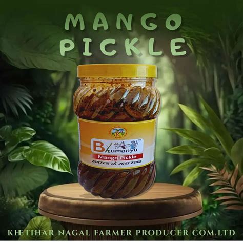 Mango Pickle 1 Kg At ₹ 140 Kg In Saharanpur Id 2854404878548