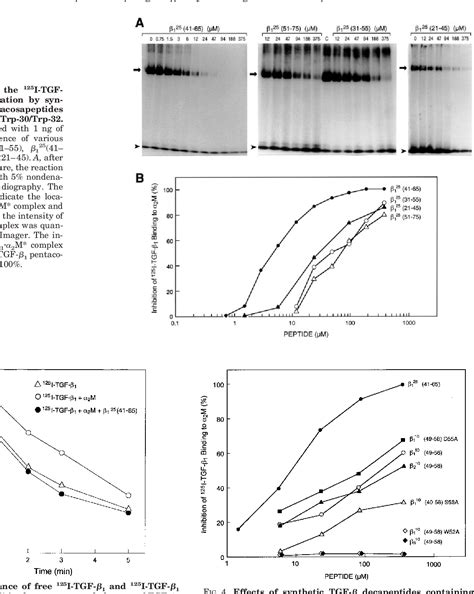 Figure 2 From Identification Of The High Affinity Binding Site In Transforming Growth Factor