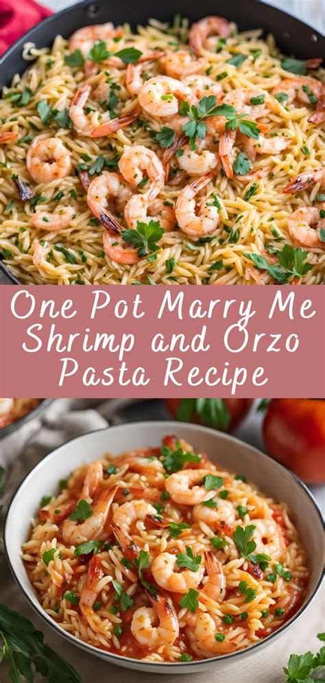 One Pot Marry Me Shrimp And Orzo Pasta Recipe Seafood Orzo Pasta