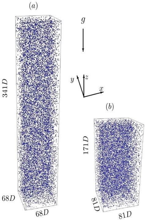 Figure 1 From Settling Of Finite Size Particles In An Ambient Fluid A
