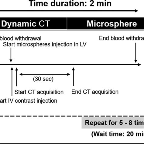 Two Volume Ct Perfusion Measurement Protocol A Top Curve Arterial Download Scientific