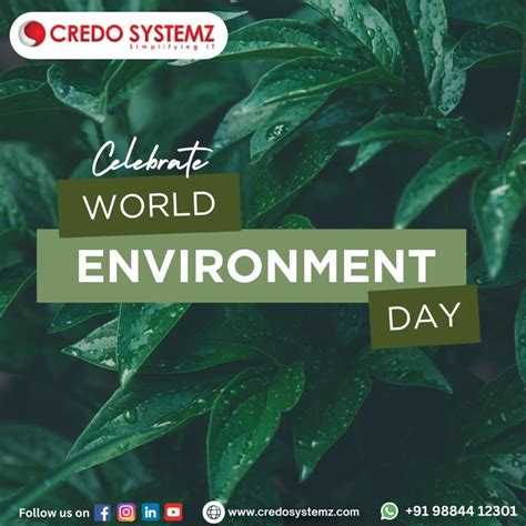 Credo Systemz On Linkedin Worldenvironmentday2024