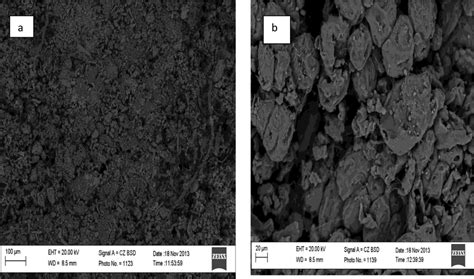 A SEM Micrographs Of MS B SEM Micrographs Of MSC Download Scientific Diagram