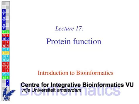 PPT Protein Function PowerPoint Presentation Free Download ID