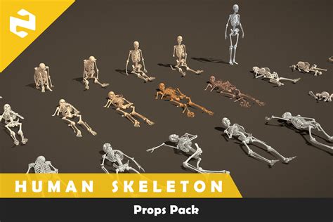Props Pack Human Skeleton 3d Props Unity Asset Store