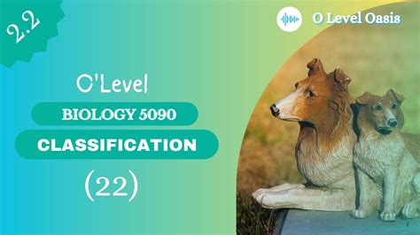 Prokaryotes Kingdom And Examples O Level Biology 5090 Features Of Organisms Unit 2 2 Youtube