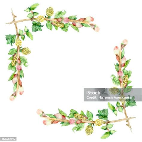 아름 다운 디자인 흰색 바탕에 수채화 버드 나무 가지 부활절에 대 한 윌 로우 0명에 대한 스톡 벡터 아트 및 기타 이미지