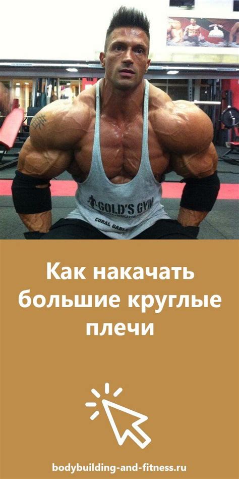 Как накачать большие круглые плечи советы и комплекс упражнений Тренировки Упражнения