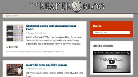 reascript basics — interview on reaper blog part 1 extremraym